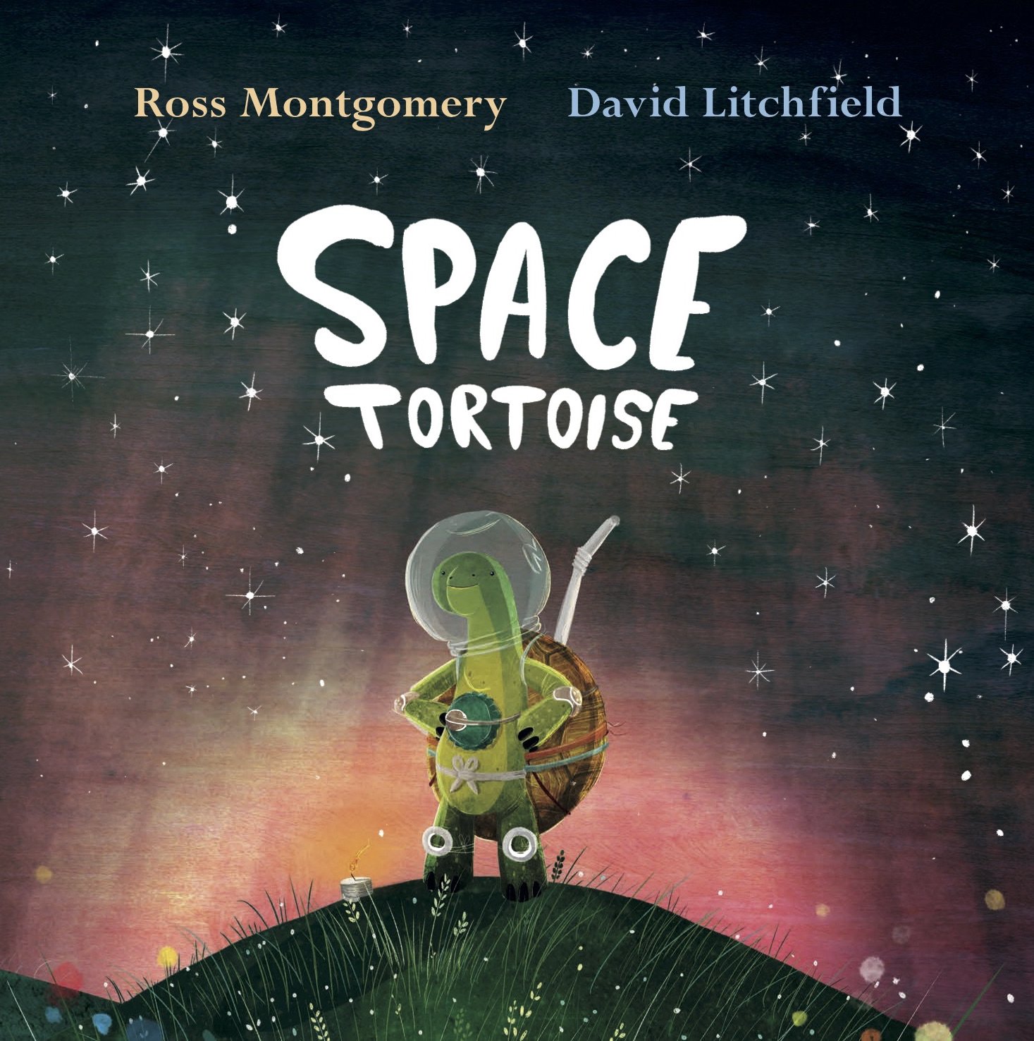 An interview with Ross Montgomery, author of Space Tortoise - The ...