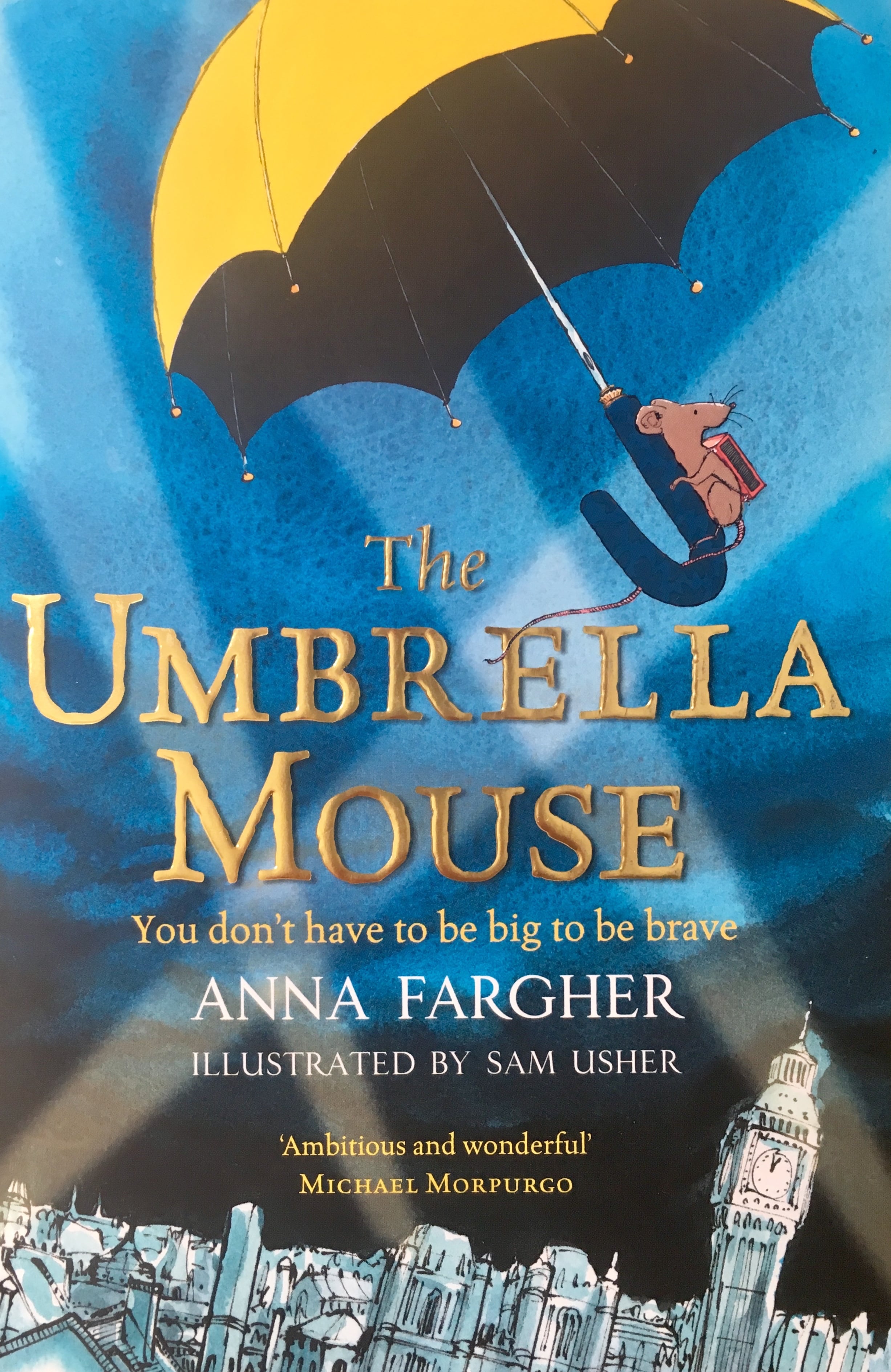 The Umbrella Mouse: An interview with Anna Fargher - The Reading Realm
